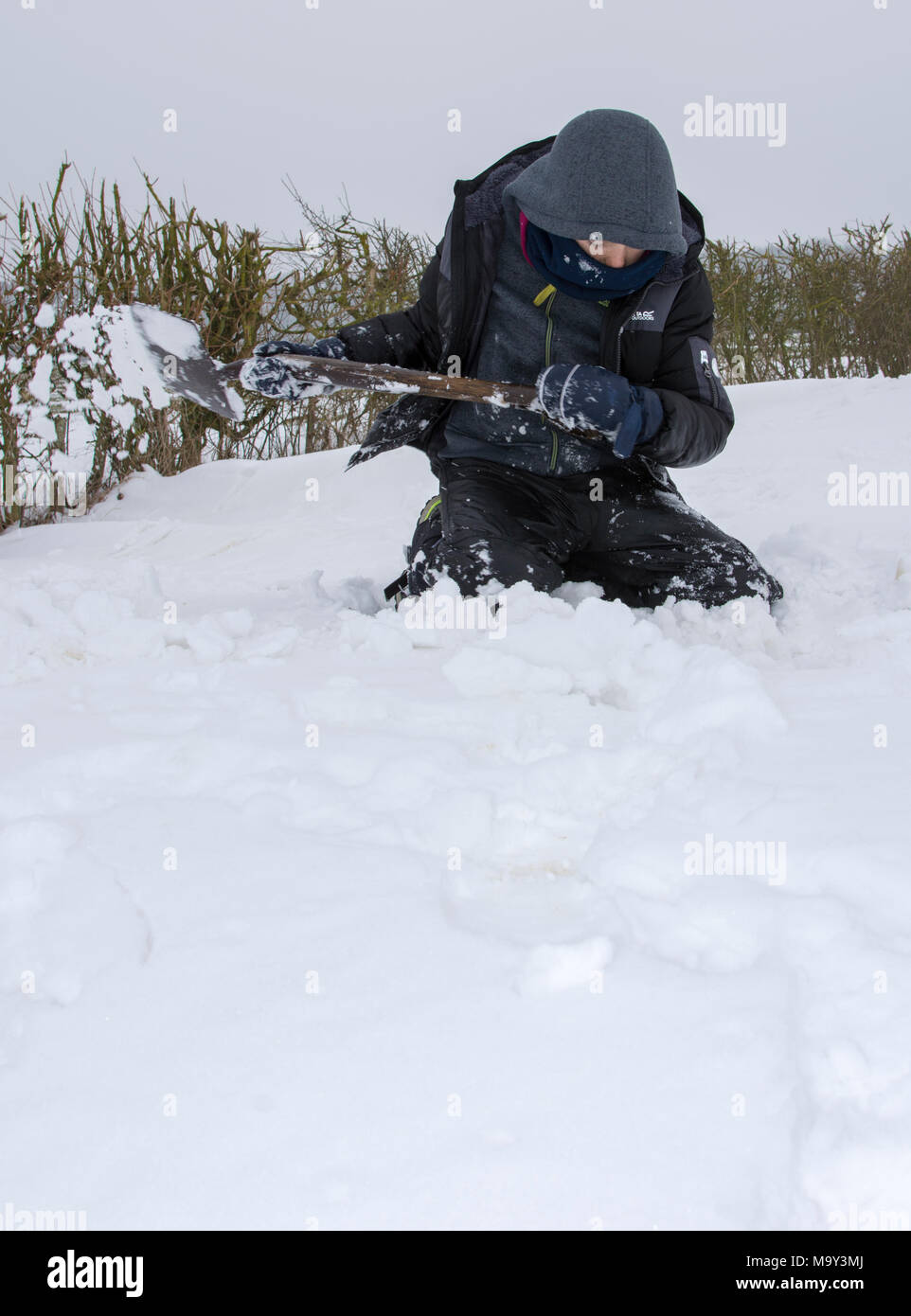 Boy digging om top of snowdrift Stock Photo - Alamy