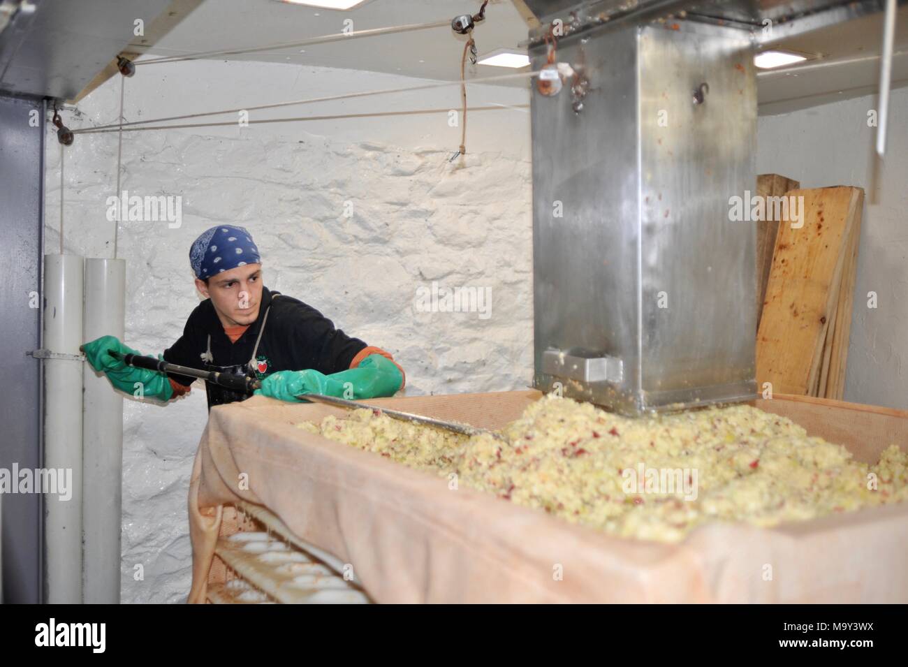 Workers making fresh apple cider at historic 1837 Franklin Cider Mill ...