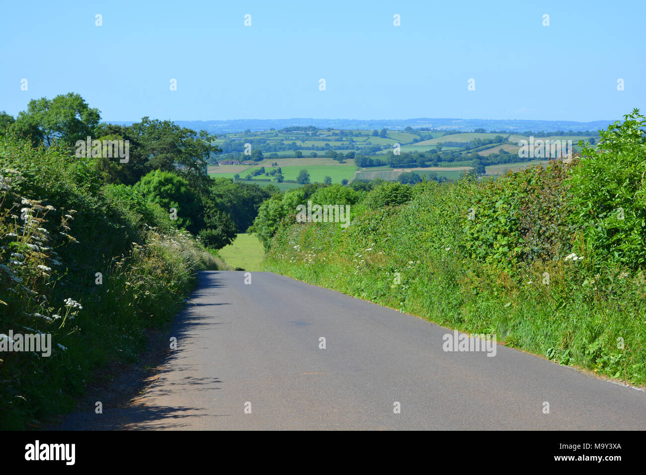 Country lane through rural landscape in early Summer, Somerset, England ...