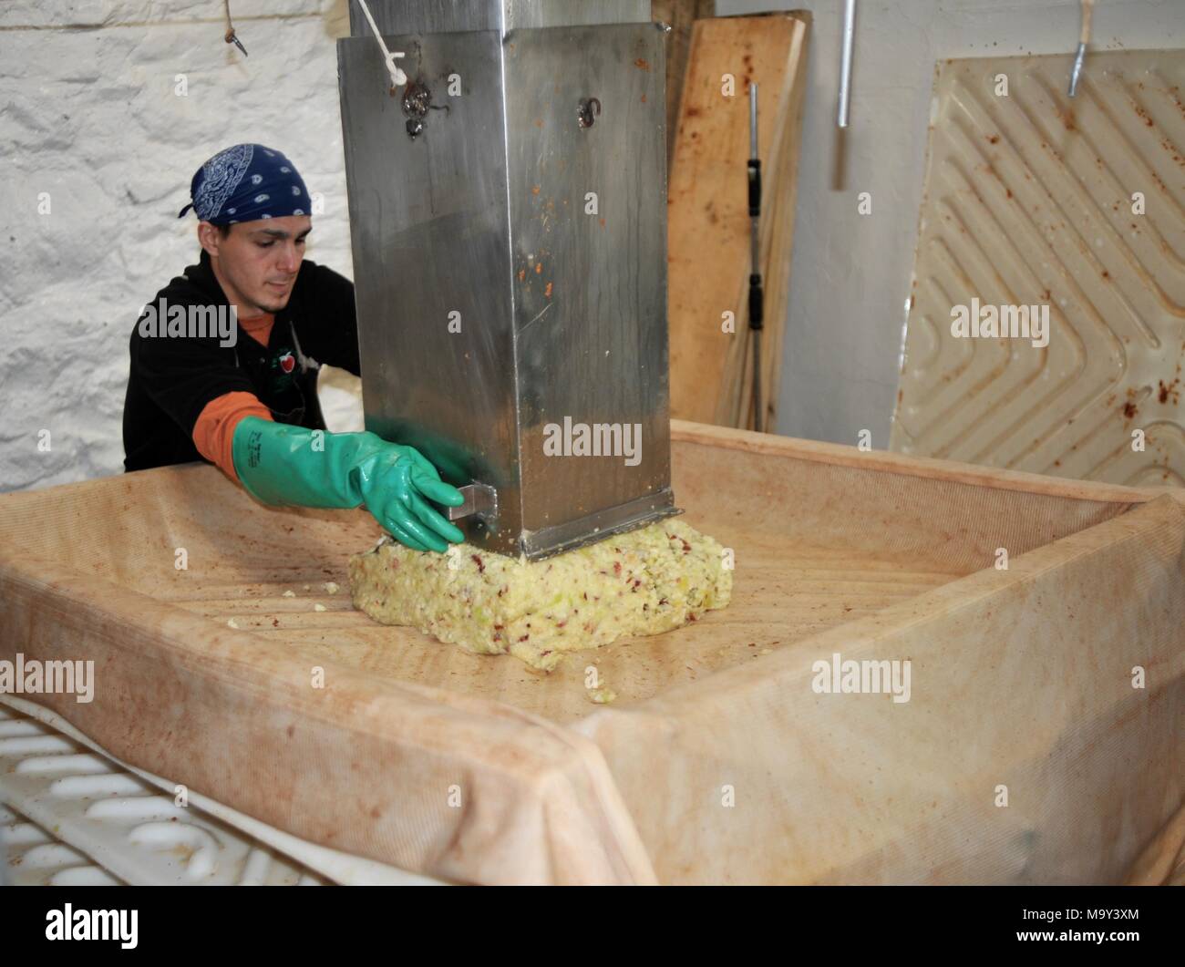 Workers making fresh apple cider at historic 1837 Franklin Cider Mill ...