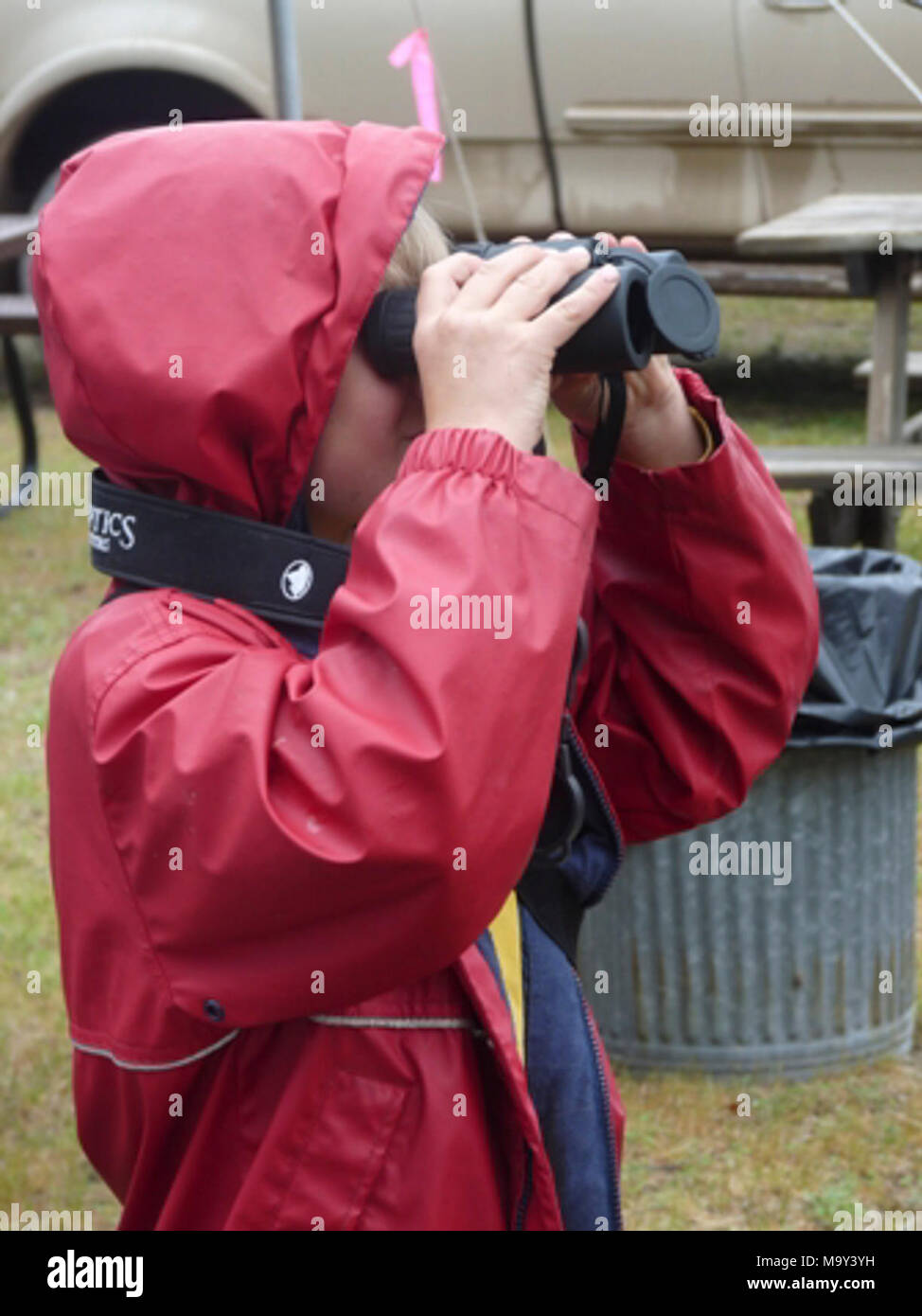 Young Birder Checking this Out. A young birder learning to use ...