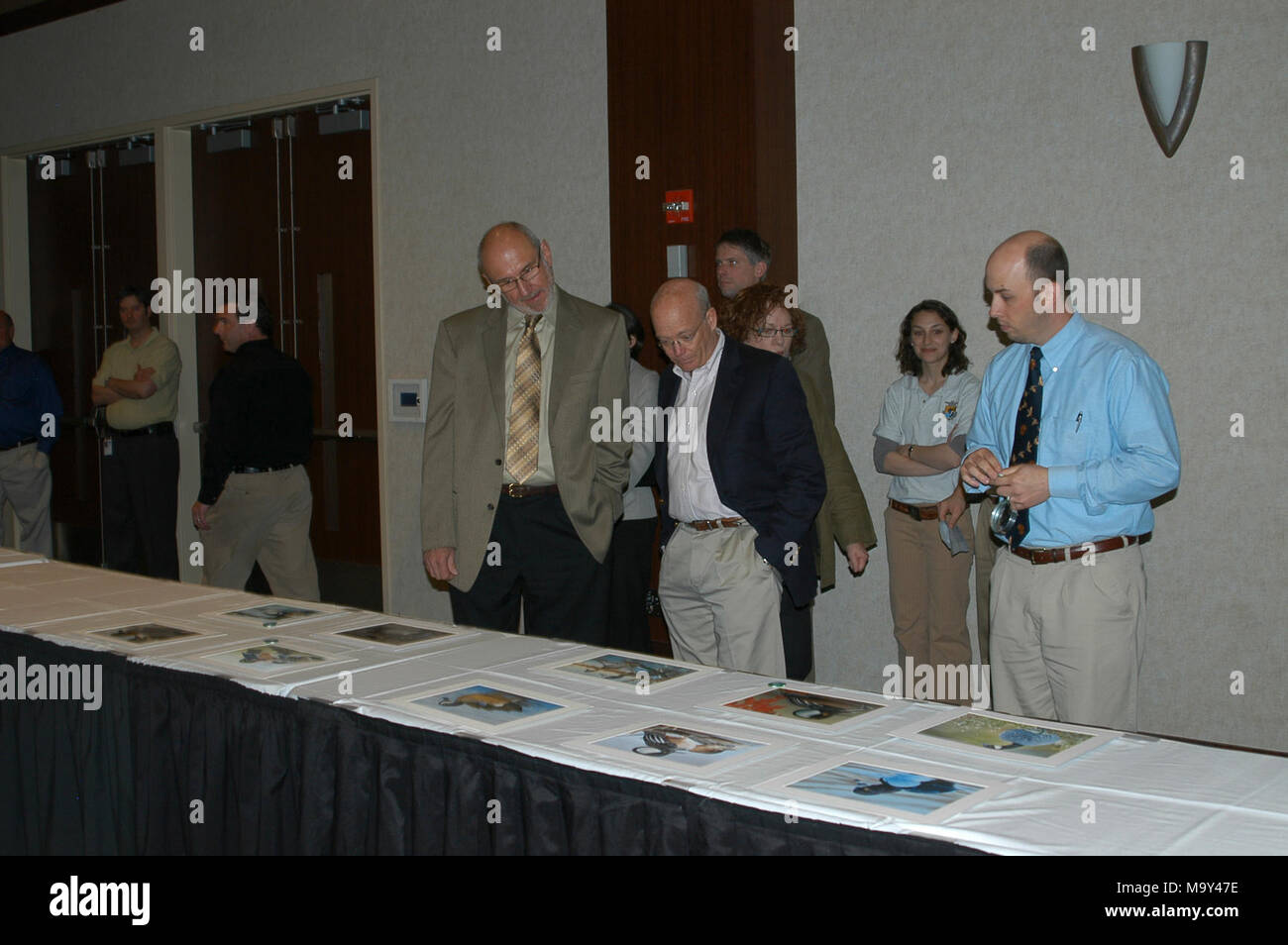 Usfws stamp hi-res stock photography and images - Alamy