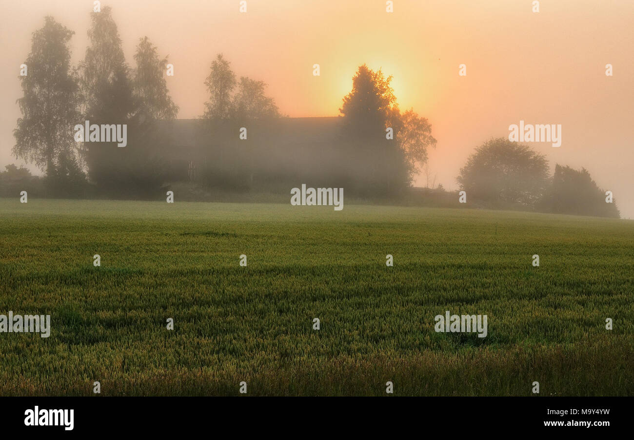 spring dawn. scenic spring field Stock Photo - Alamy