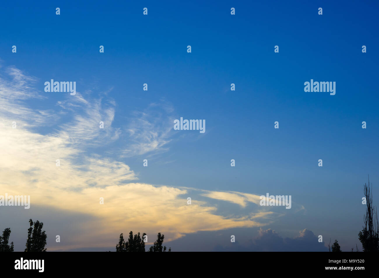 Landscape with dramatic light - beautiful golden sunset with saturated ...