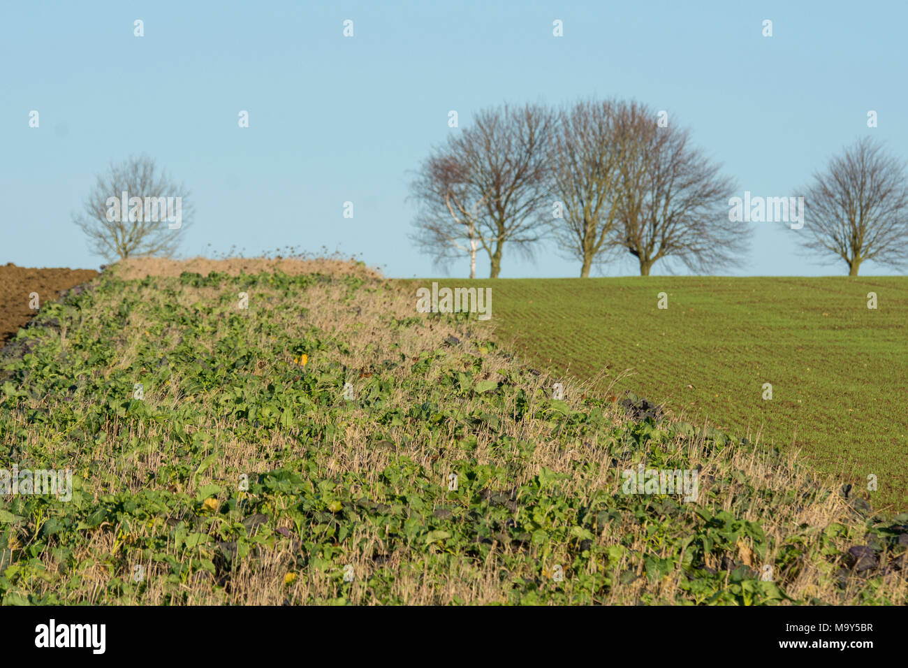 Set aside field hi-res stock photography and images - Alamy