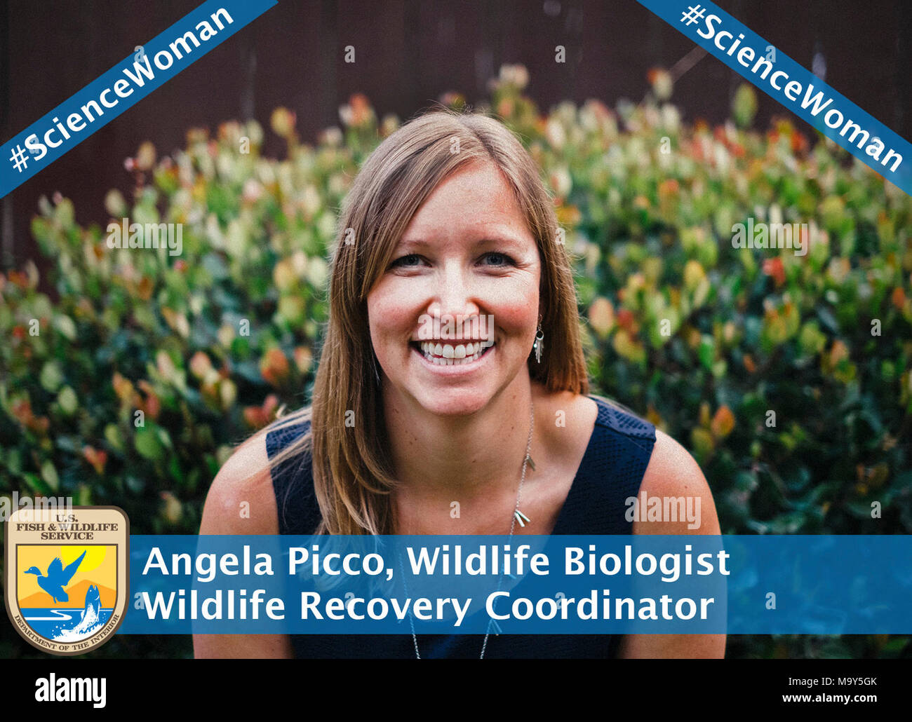 Angela Picco. IN THEIR OWN WORDS: The U.S. Fish and Wildlife Service in ...
