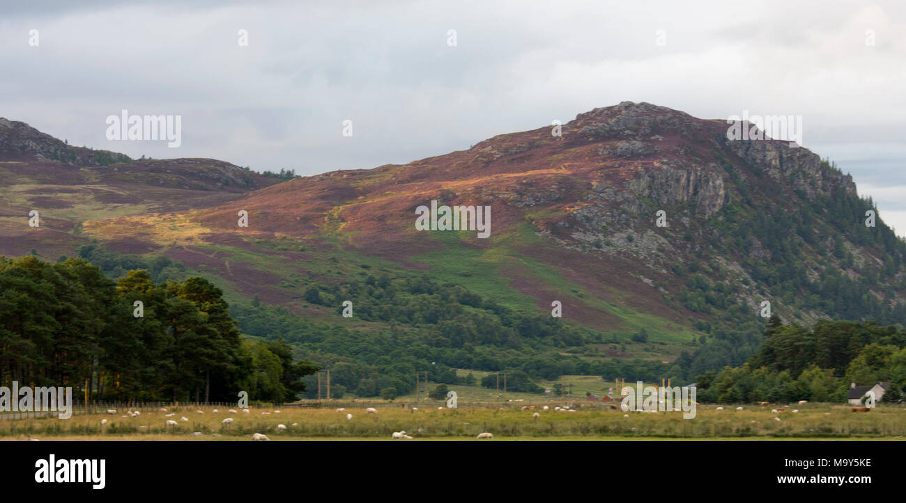 Brin rock hi-res stock photography and images - Alamy