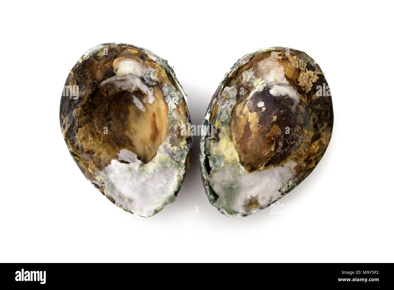 Rotten avocado hi-res stock photography and images - Alamy