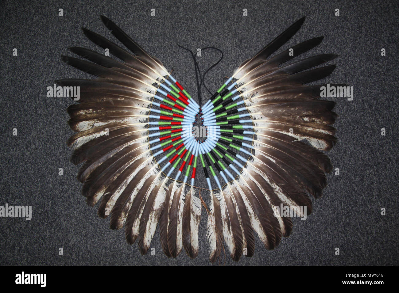 Bald eagle feather bustle. A bald eagle feather bustle recovered during ...
