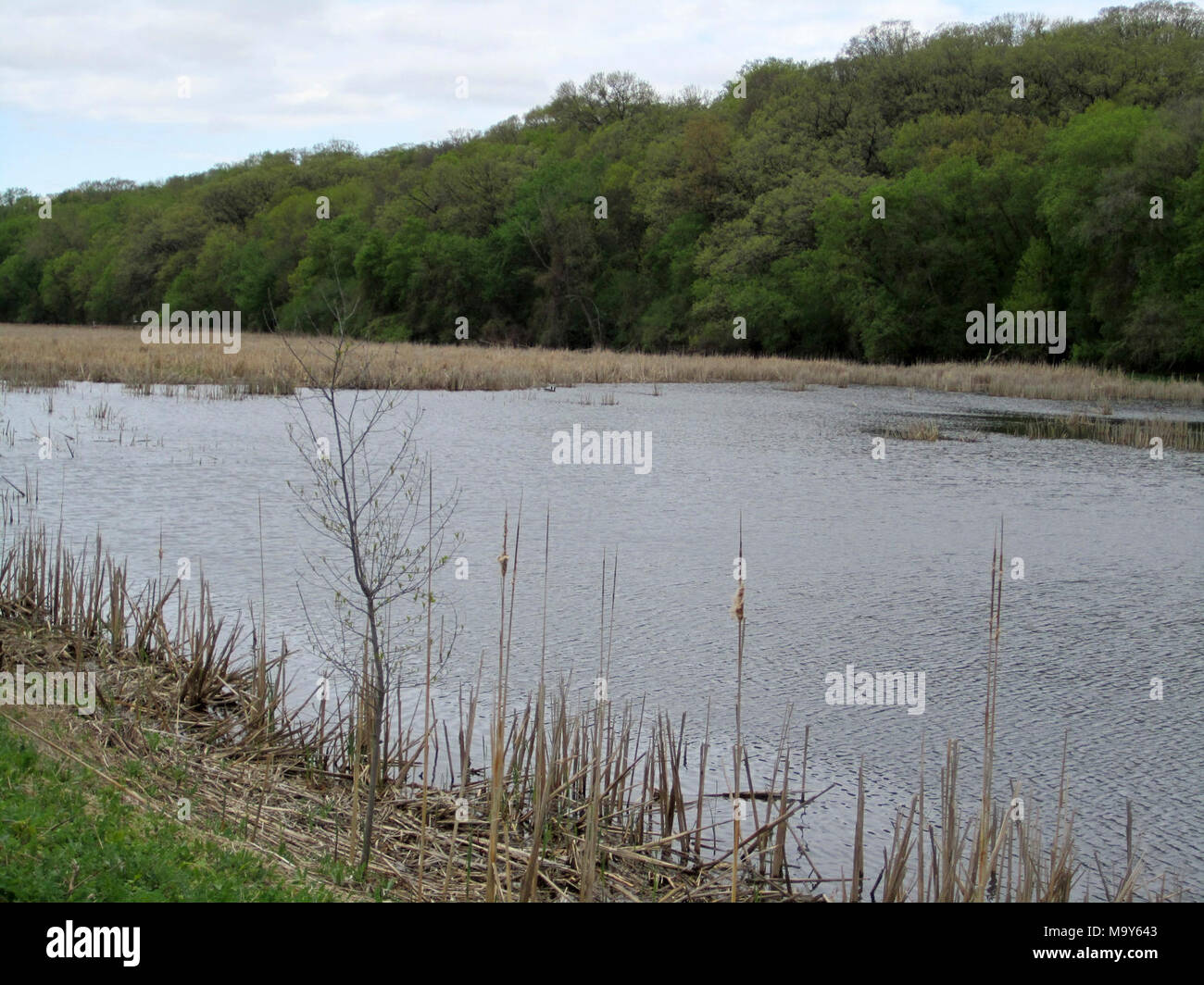 Bass ponds hi-res stock photography and images - Alamy