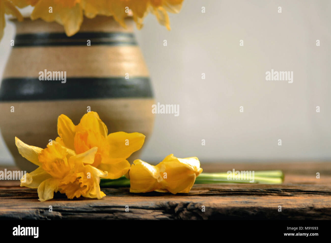 Symbol of spring hi-res stock photography and images - Alamy