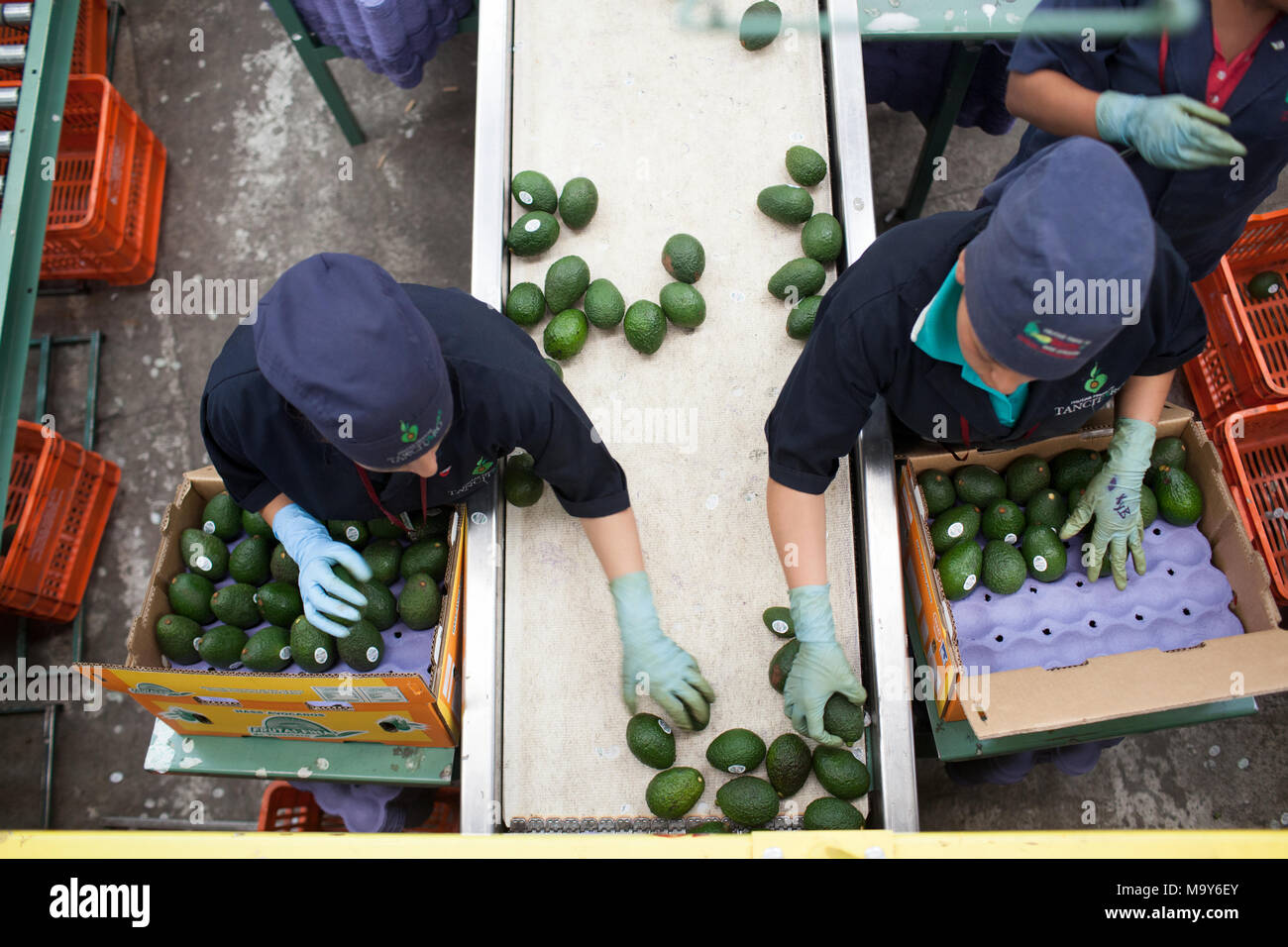 Tancitaro hi-res stock photography and images - Alamy