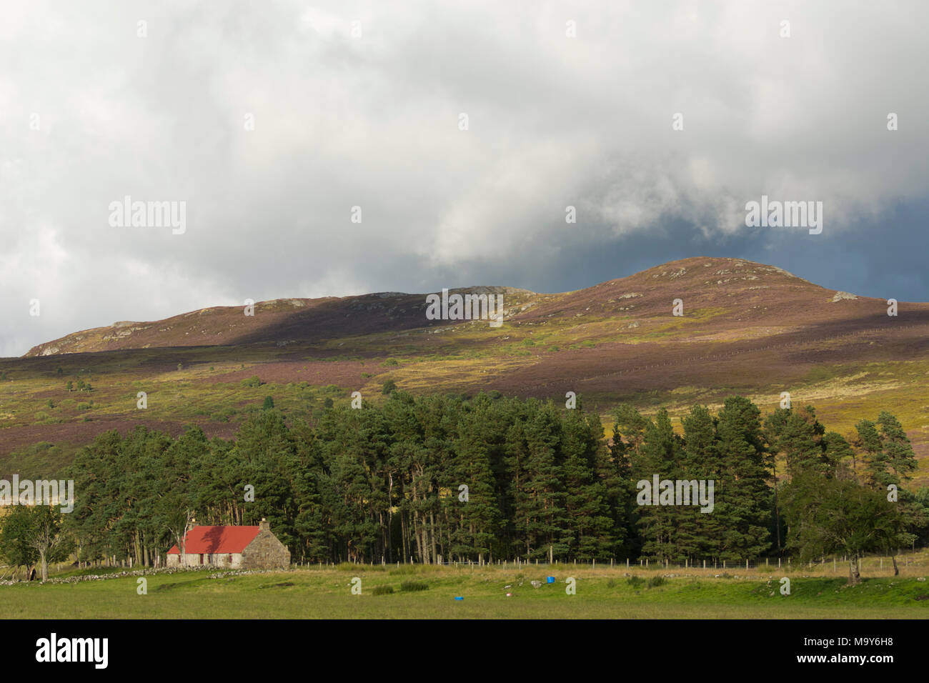 Croft converted into barn, East Croachy, The Highlands Stock Photo - Alamy