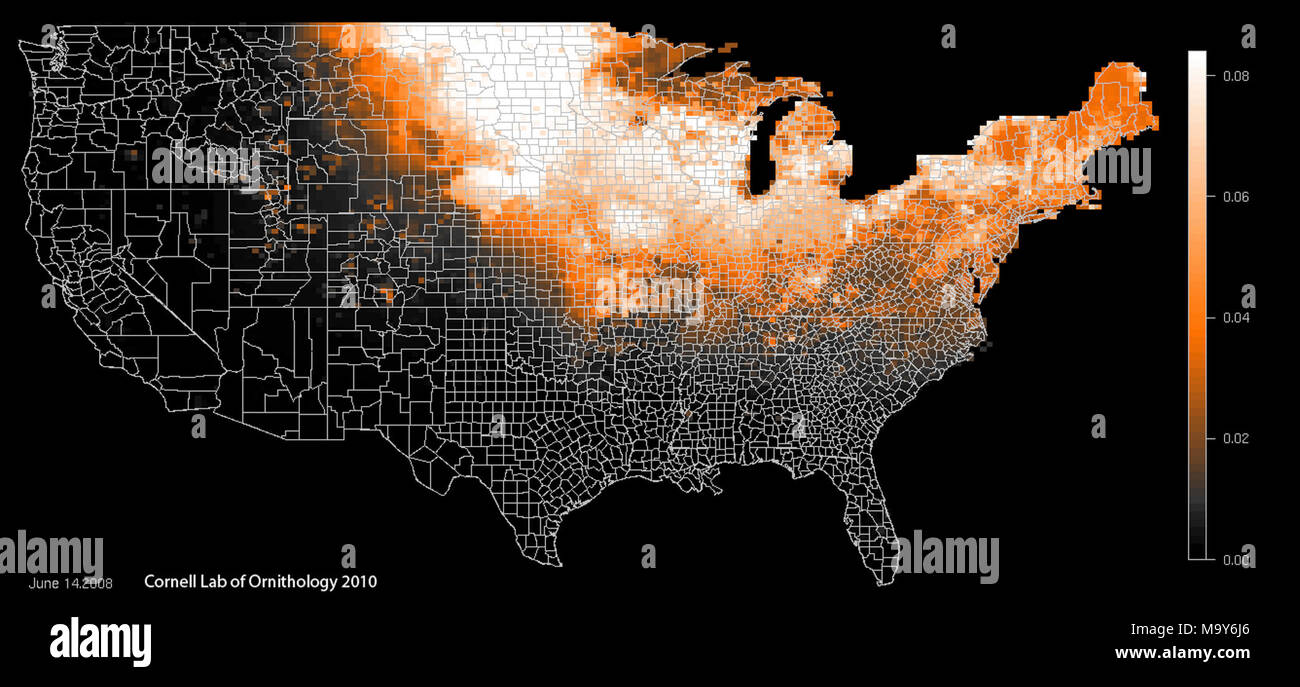 Bobolink Distribution Map (Cornell Lab of Ornithology Stock Photo - Alamy