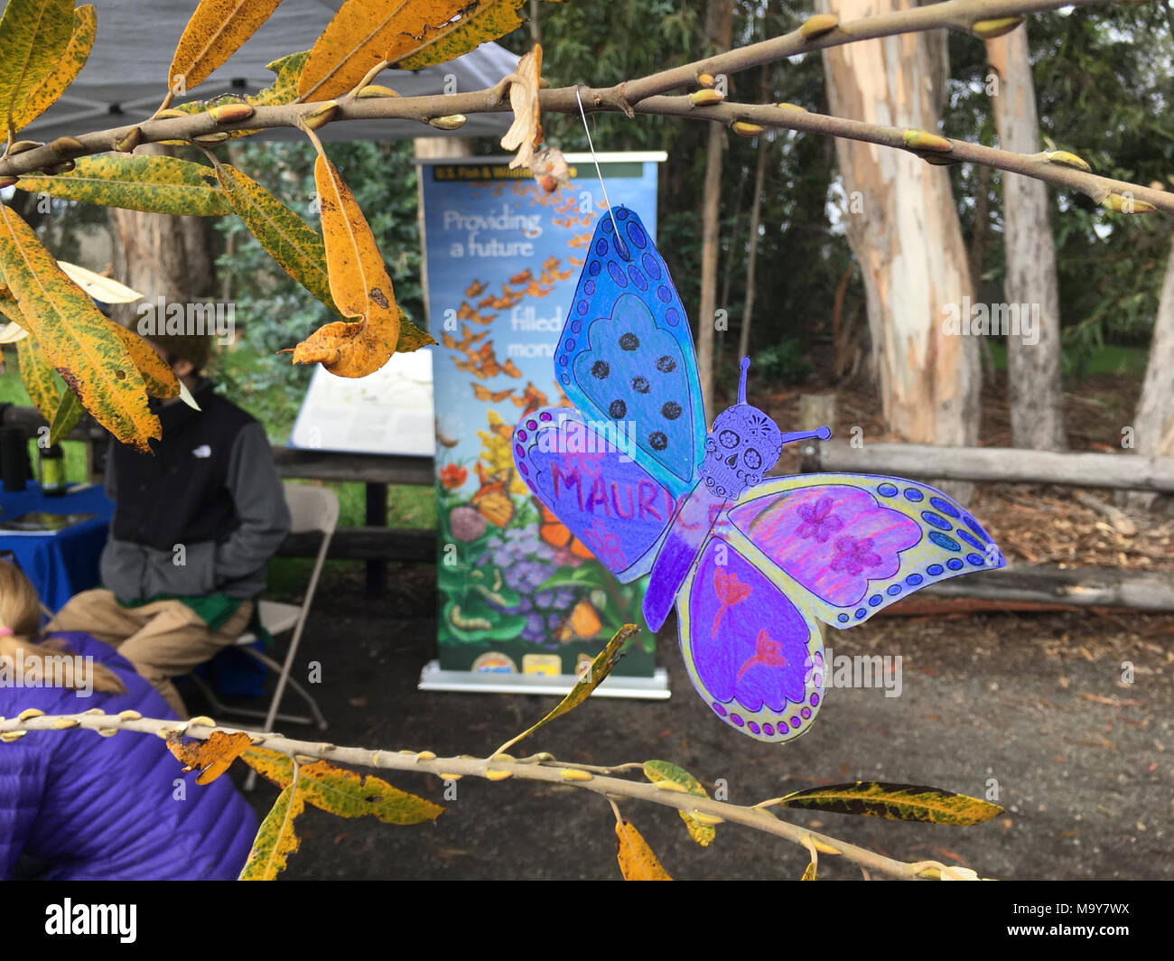 Children celebrate Western Monarch Day by individually crafting their ...