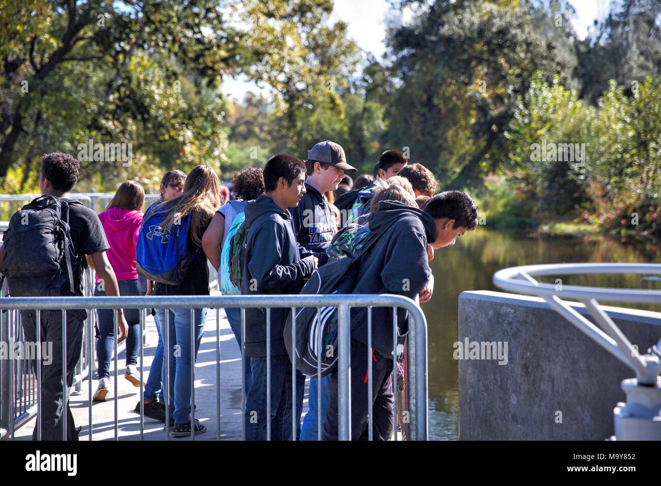 Coleman National Fish Hatchery. Public viewing at Coleman Stock Photo ...