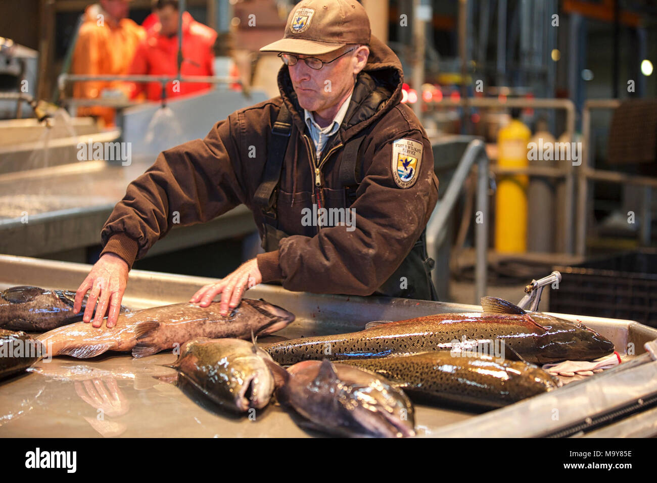 Coleman national fish hatchery hi-res stock photography and images - Alamy
