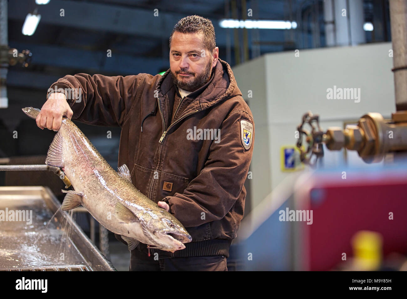 Coleman National Fish Hatchery. Jaime Calloway, Coleman NFH Water ...