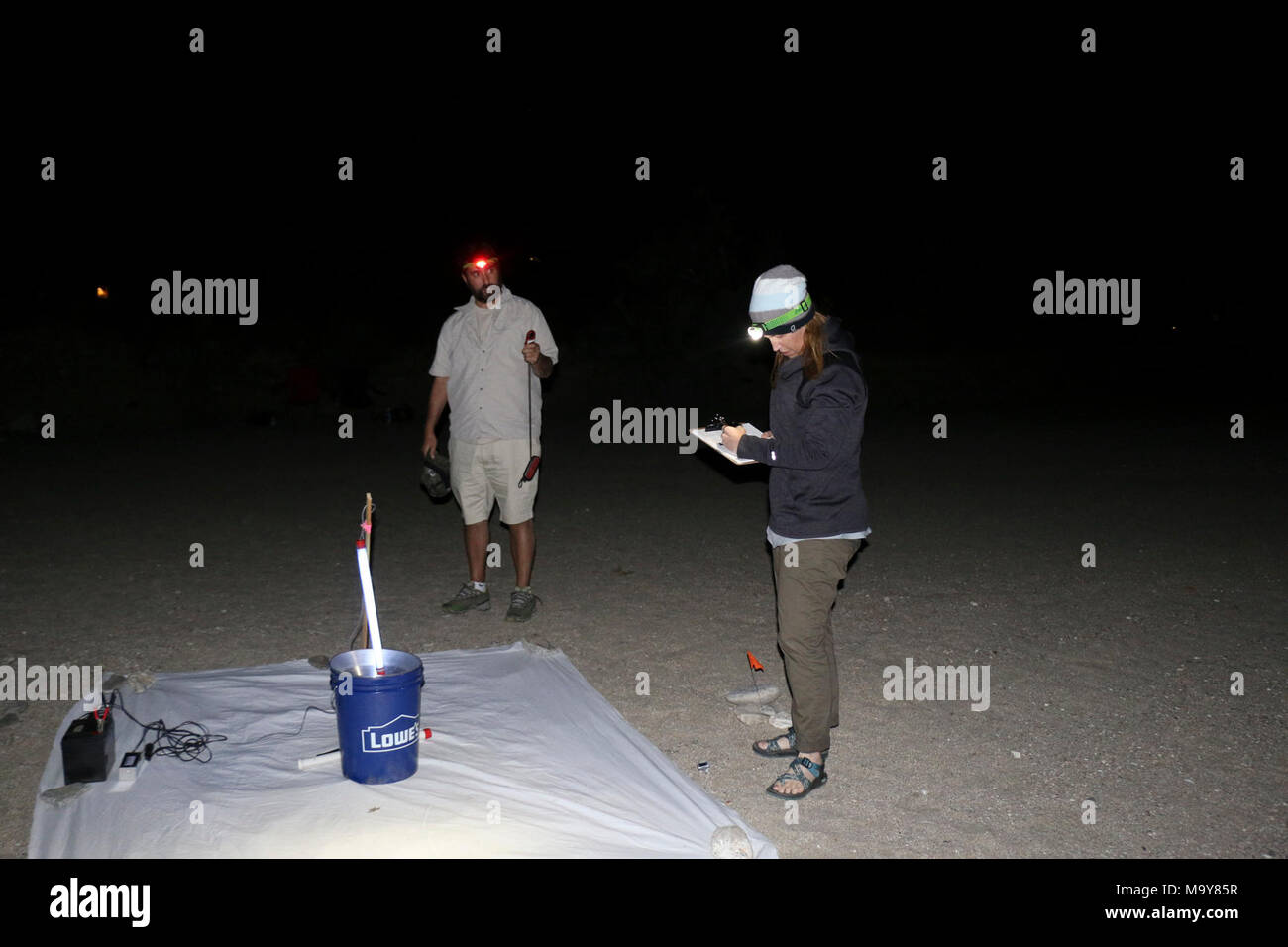 Collecting survey research data hi-res stock photography and images - Alamy