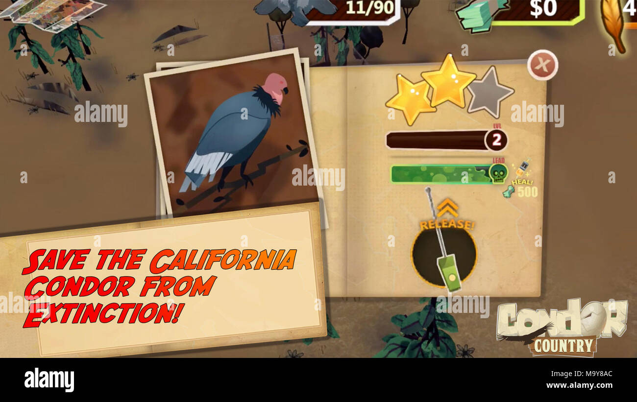 Condor Country Game Save Stock Photo - Alamy