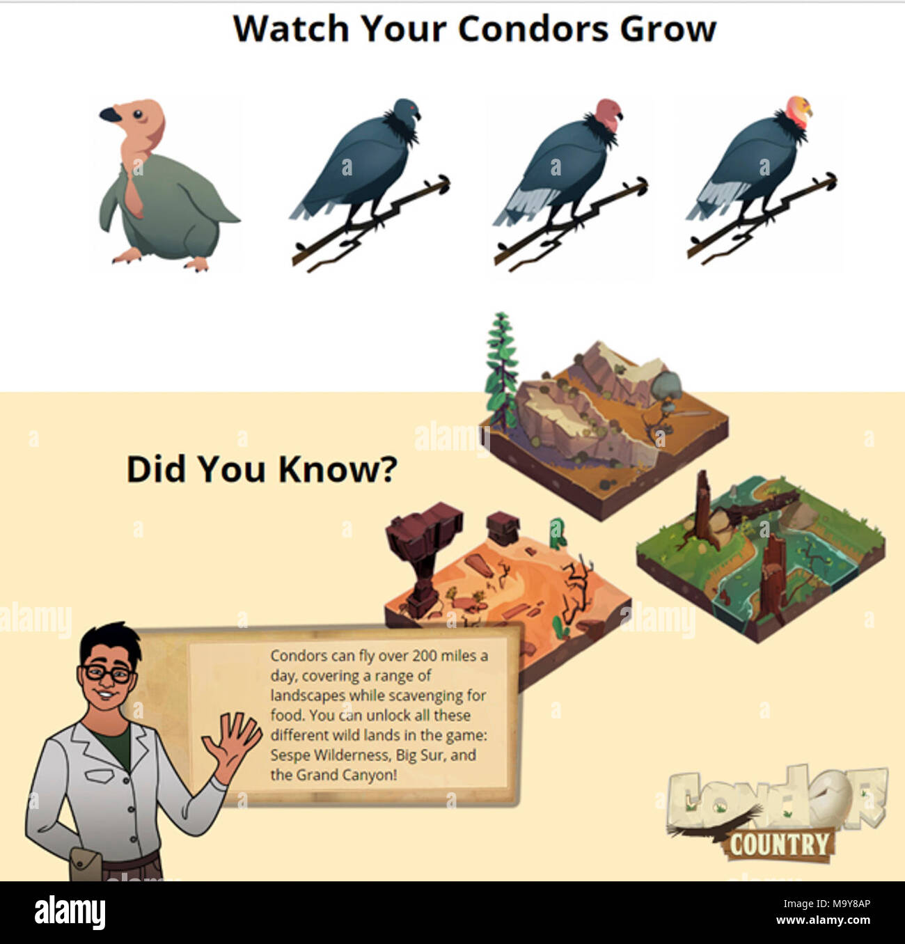 Condor Country Game Watch Grow Stock Photo - Alamy