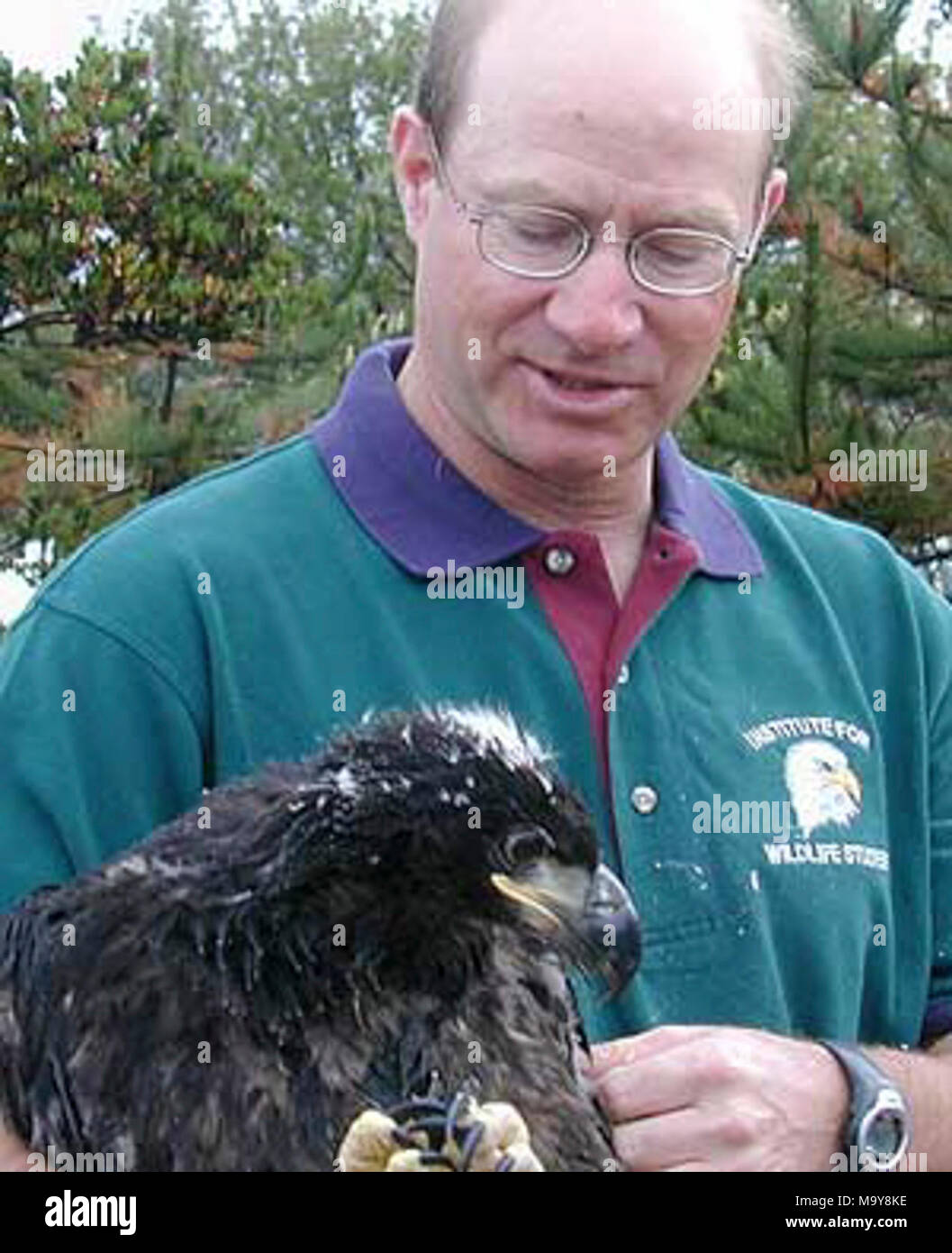 Natural fish studies hi-res stock photography and images - Alamy