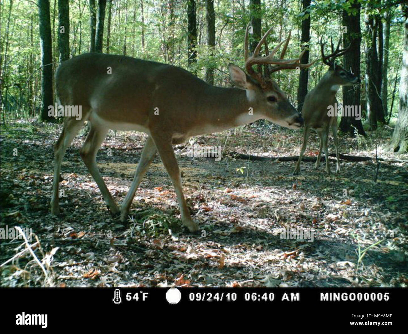 Mingo nwr hi-res stock photography and images - Alamy