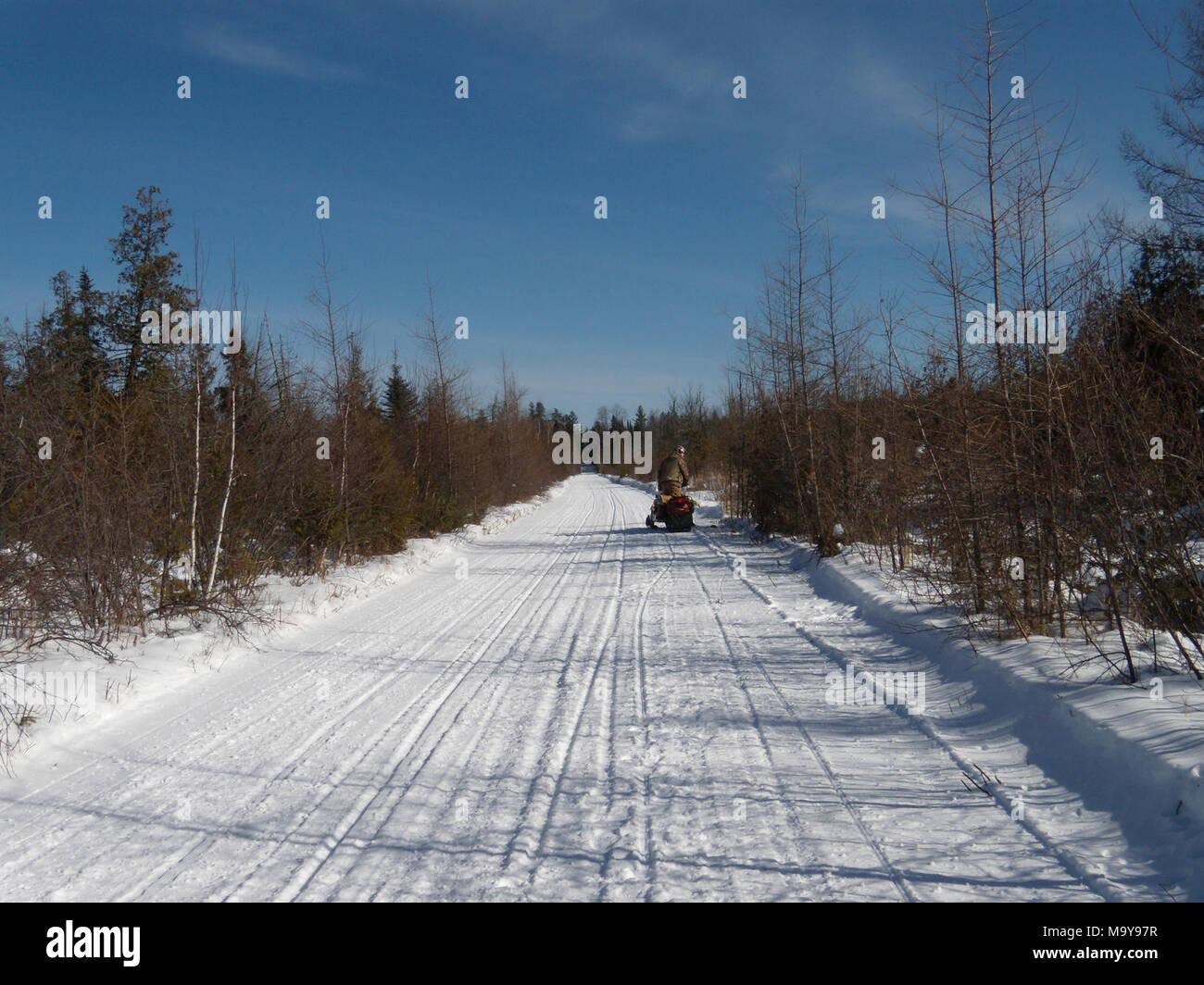 February. A Biologist for the Superior National Forest, Tim Catton ...