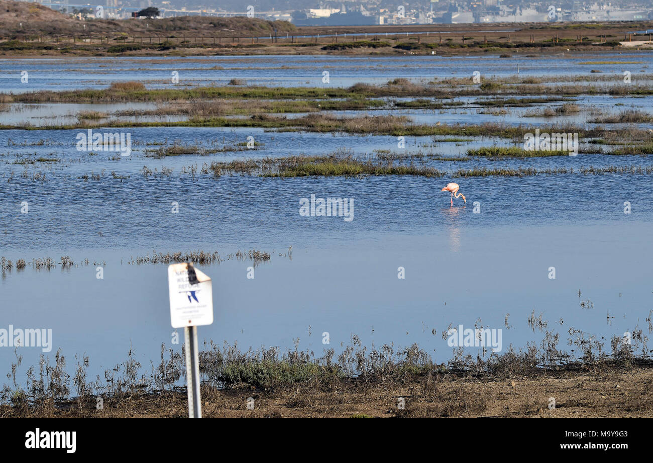 Usfws refuge hi-res stock photography and images - Alamy