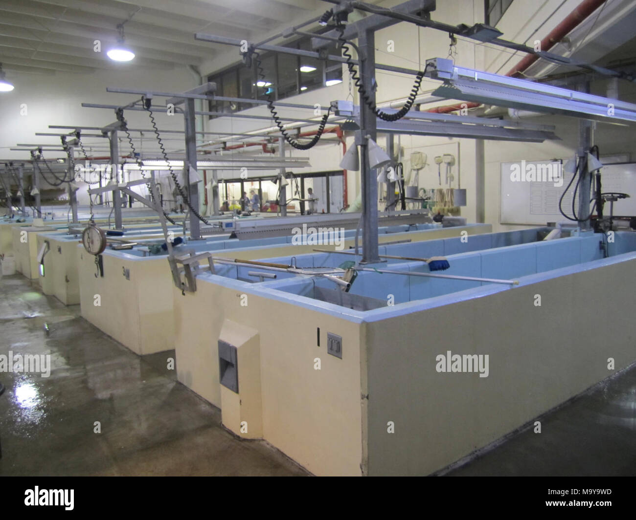 Raceways hi-res stock photography and images - Alamy