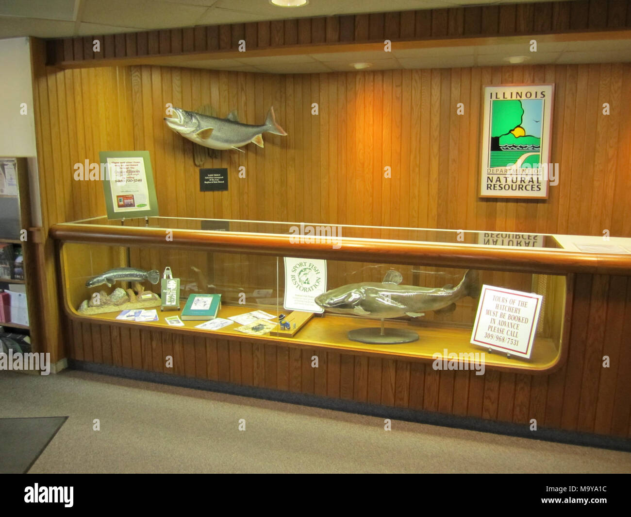 Mounted fish hi-res stock photography and images - Alamy