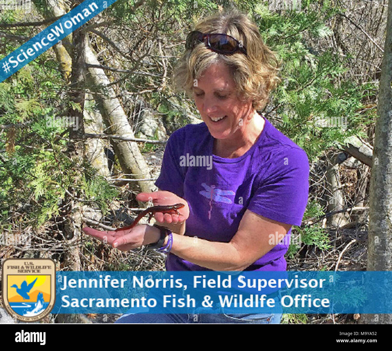 Jennifer Norris. Jennifer Norris, Field Supervisor Stock Photo - Alamy