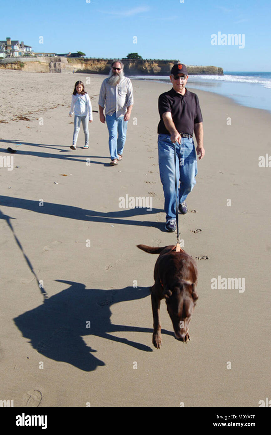 Pets under control hi-res stock photography and images - Alamy
