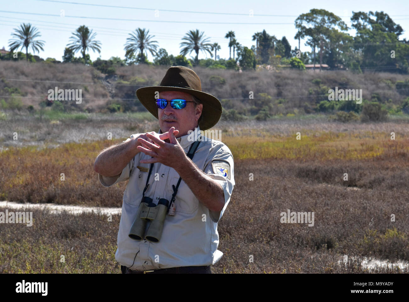 Light footed ridgways rail hi-res stock photography and images - Alamy