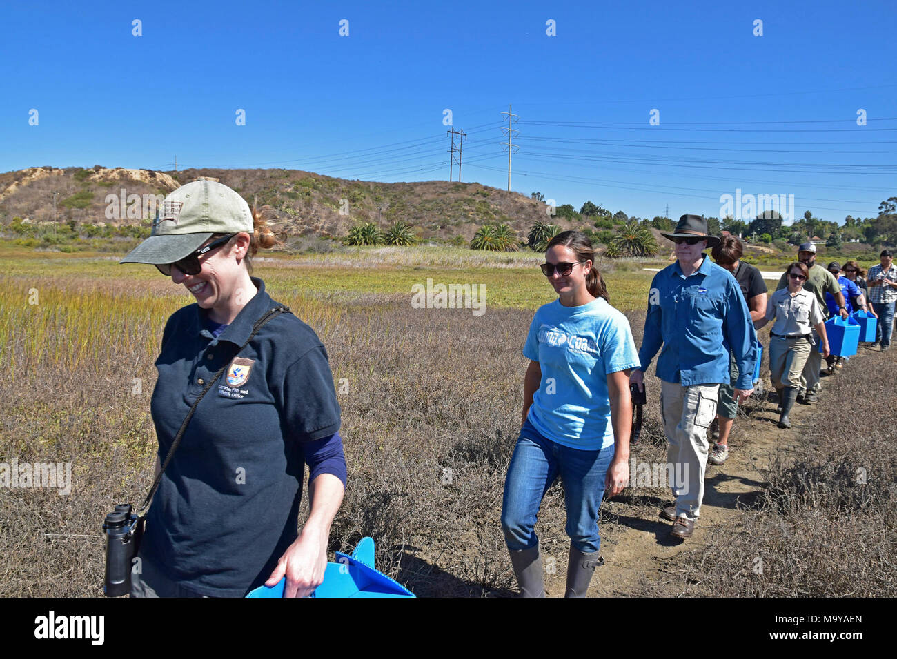 Light footed ridgways rail hi-res stock photography and images - Alamy