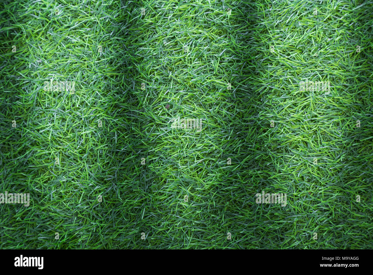 Grass texture background for golf course, soccer field or sports ...