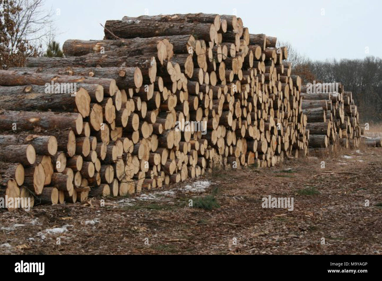 Pile 2 hi-res stock photography and images - Alamy