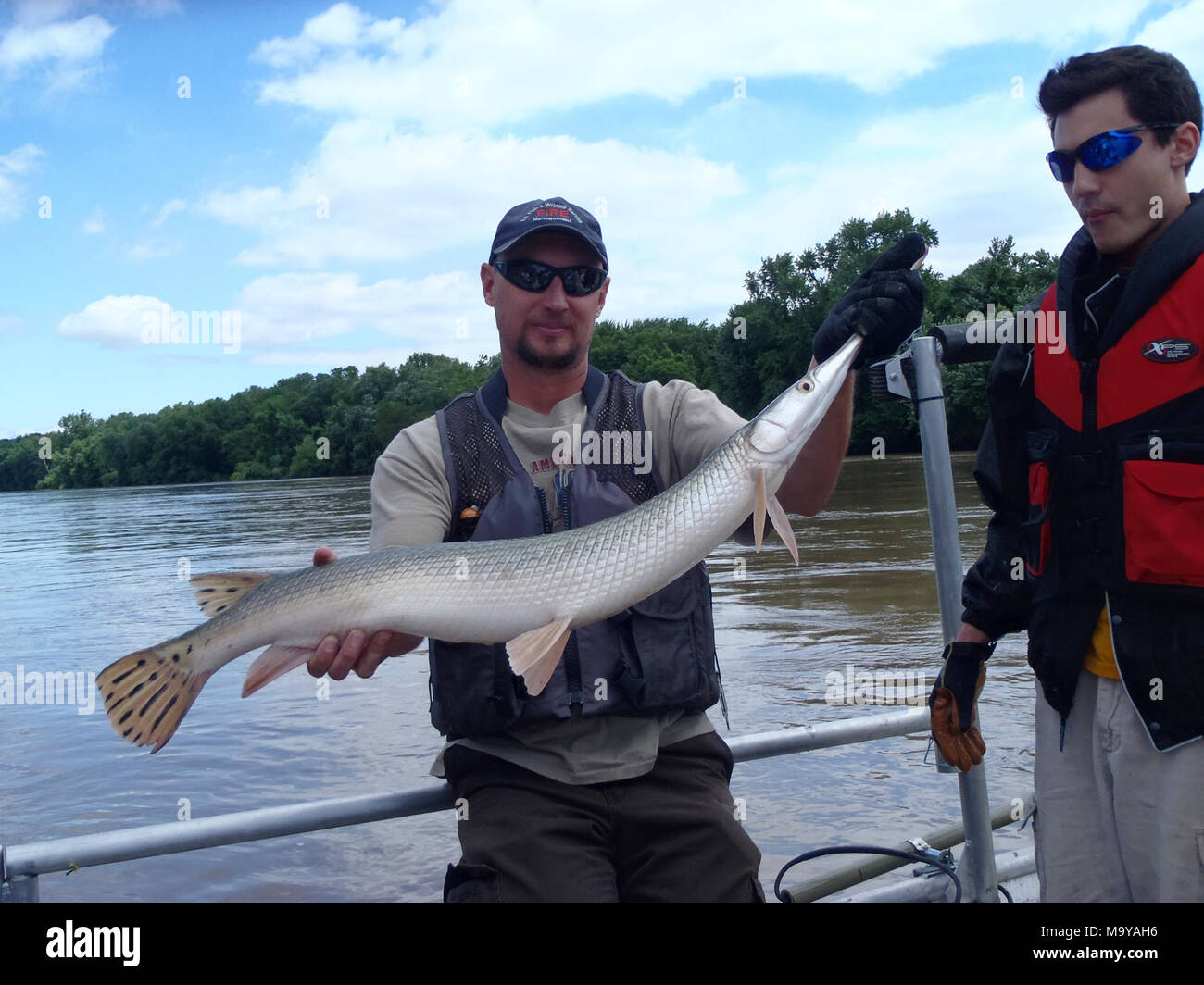 Longnose gar. Tim Edison, INHS large river ecologist and John Myers ...