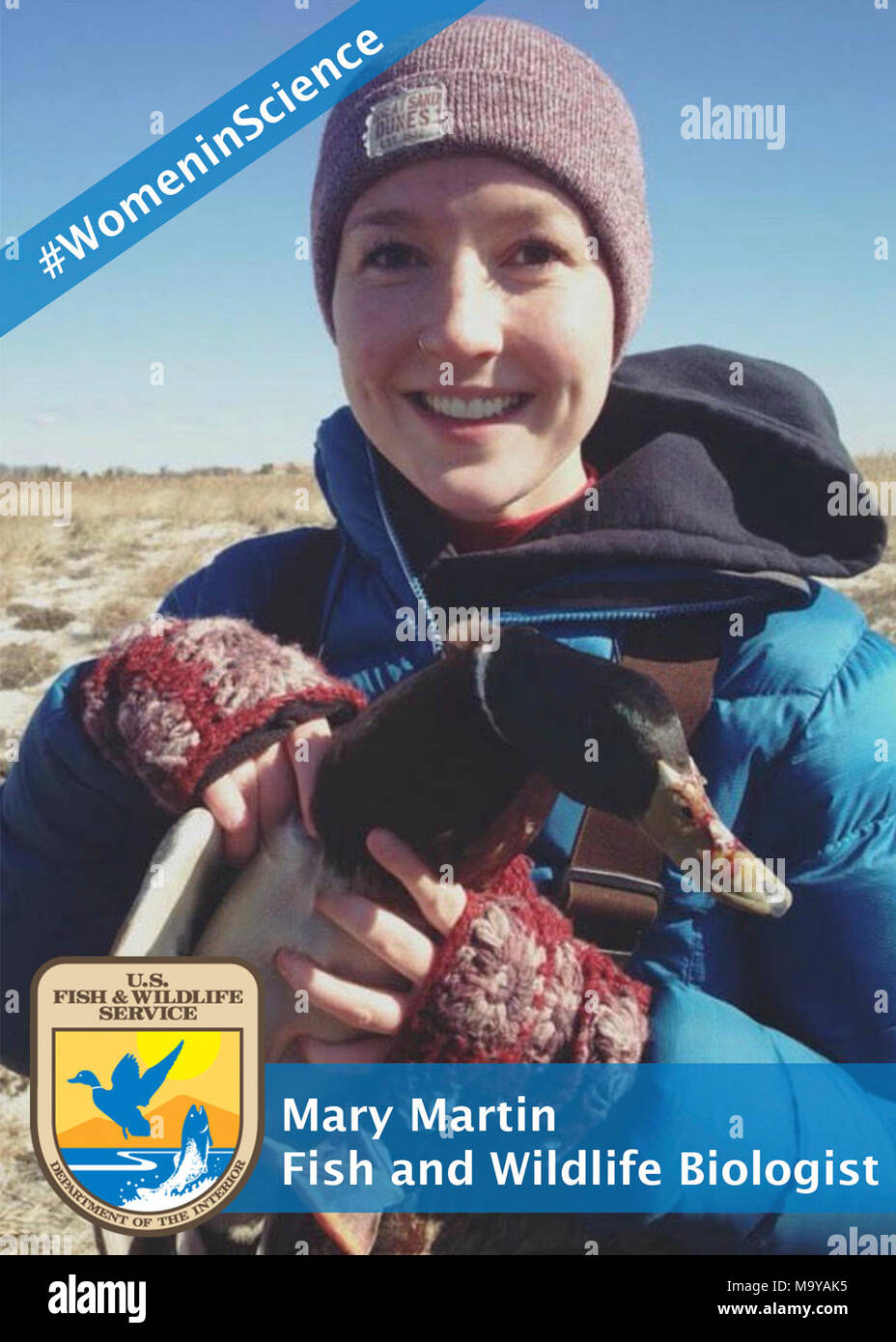 Mary Martin. Mary Martin, Fish and Wildlife Biologist Stock Photo - Alamy