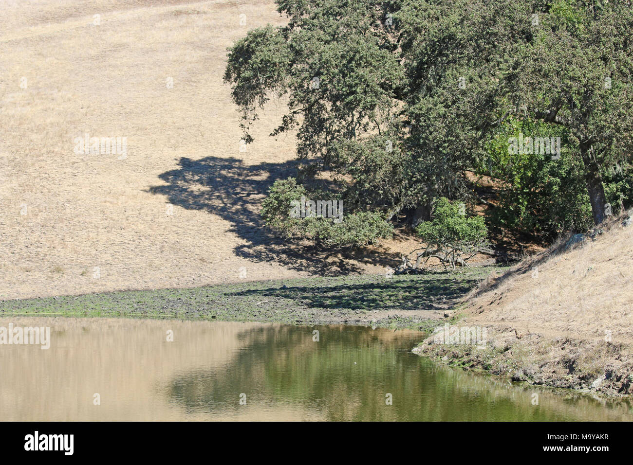 One Pond Ranch Hawthorn Hills Ranch Barn & Farm Weddings Krum, TX