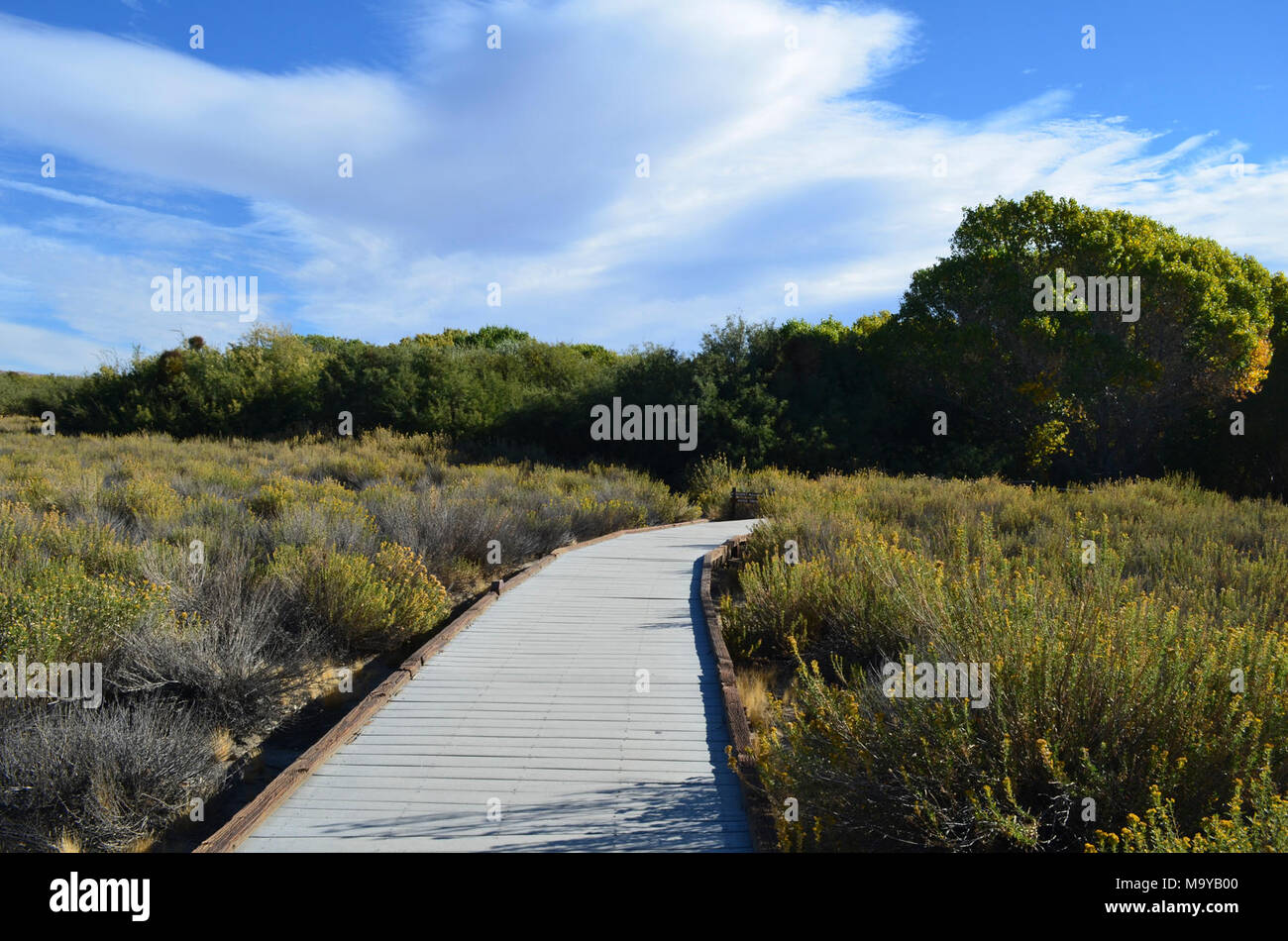 Morongo hi-res stock photography and images - Alamy