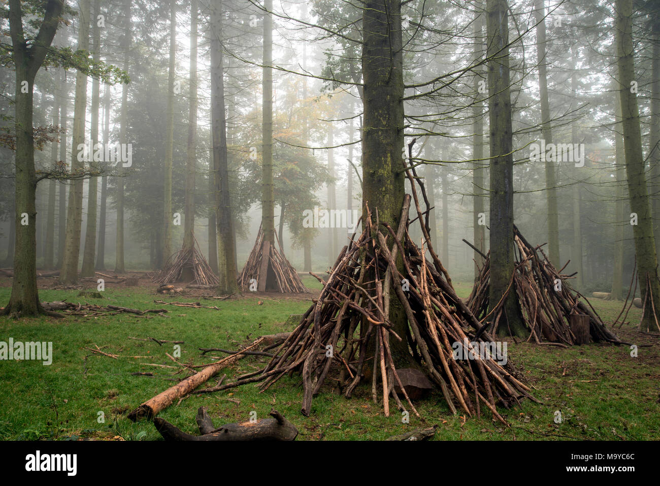 Den building area for children in woodland landscape on foggy Autumn ...