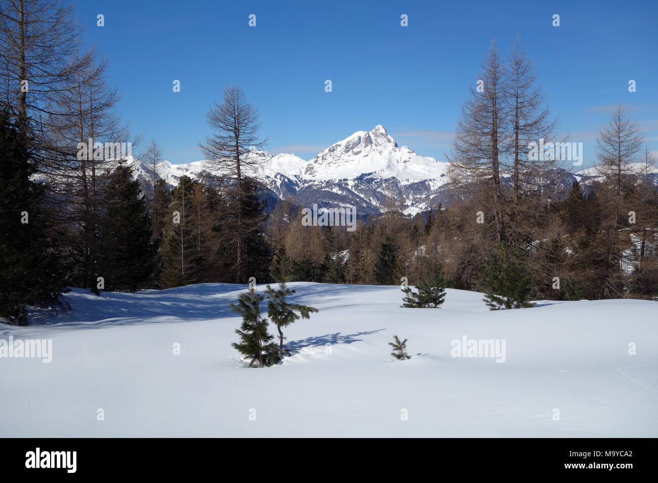 Snow covered italian dolomites hi-res stock photography and images - Alamy