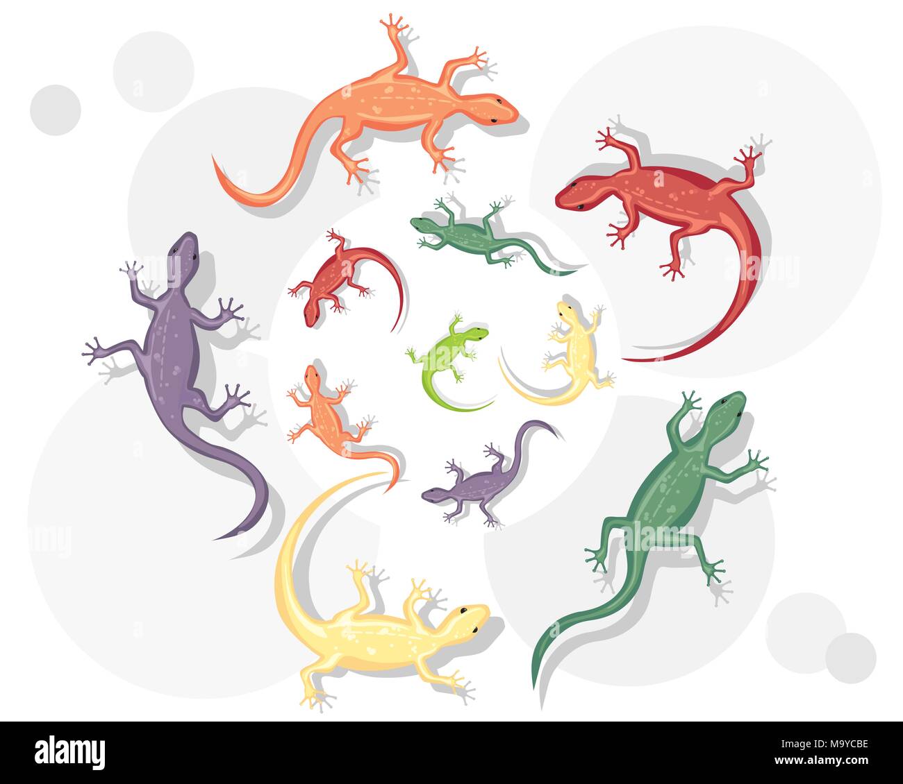 an abstract illustration of colorful lizards in a circular pattern on a ...