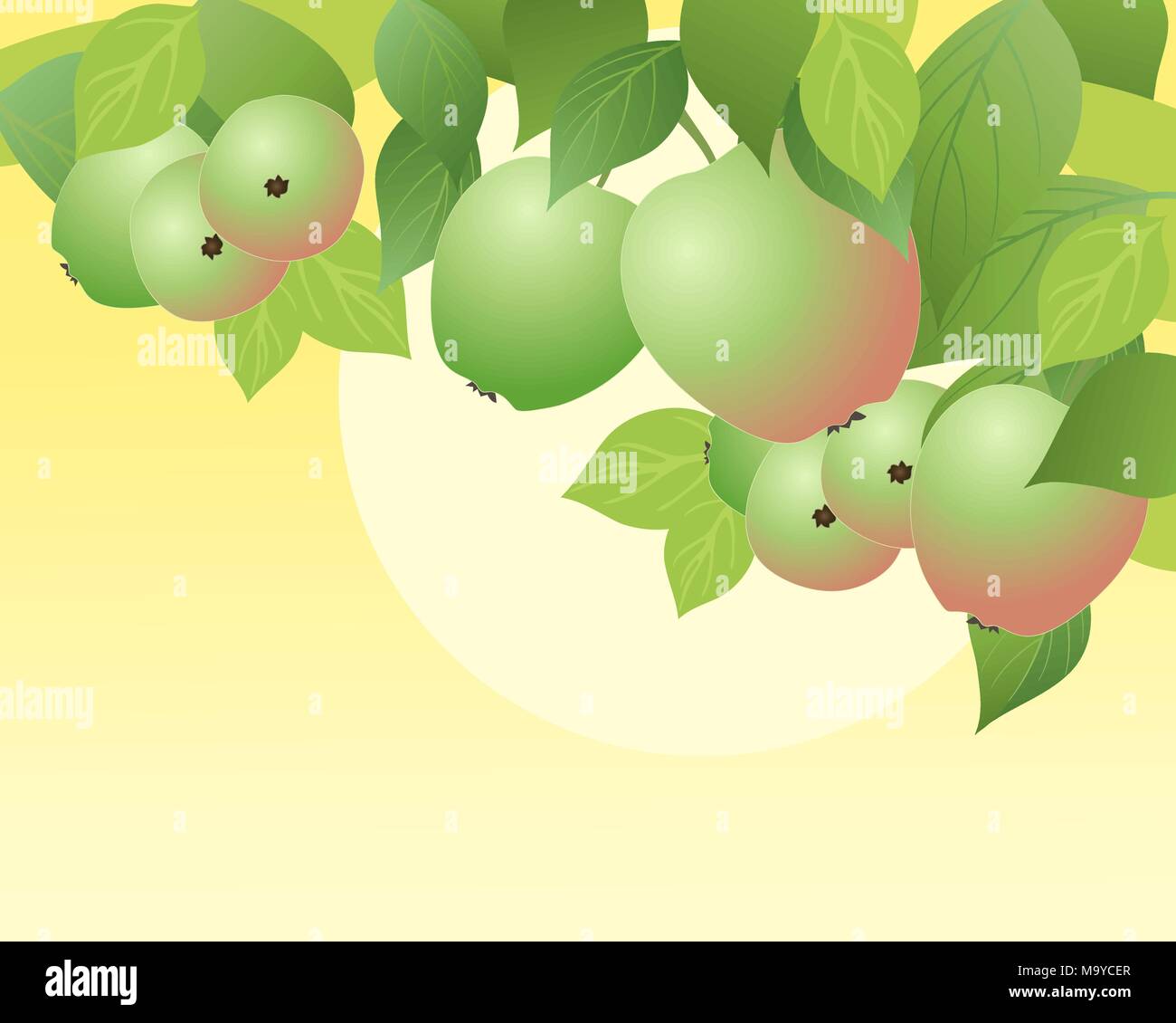 Apples ripening Stock Vector Images - Alamy