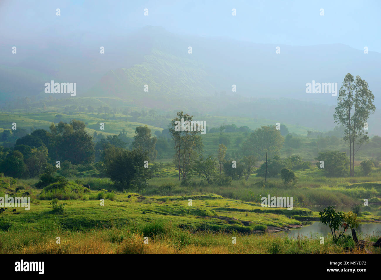 Landscape in matheran hi-res stock photography and images - Alamy