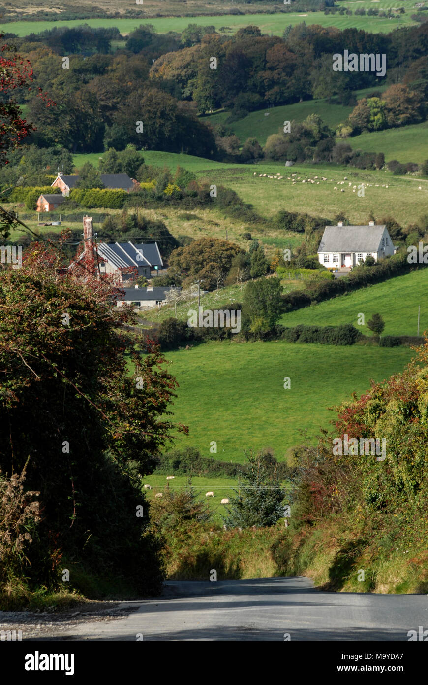 Country scene ireland hi-res stock photography and images - Alamy
