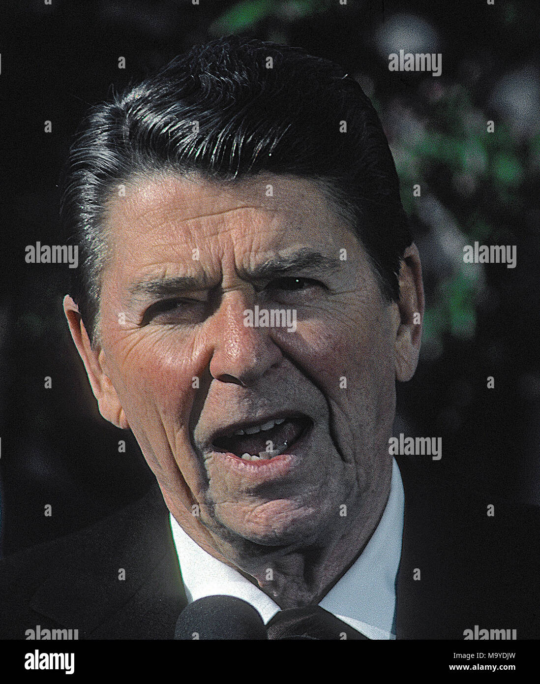Ronald reagan rose garden hi-res stock photography and images - Alamy