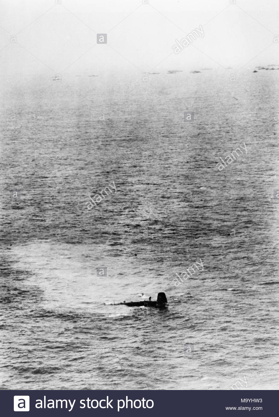 Royal Condor Stock Photos & Royal Condor Stock Images - Alamy