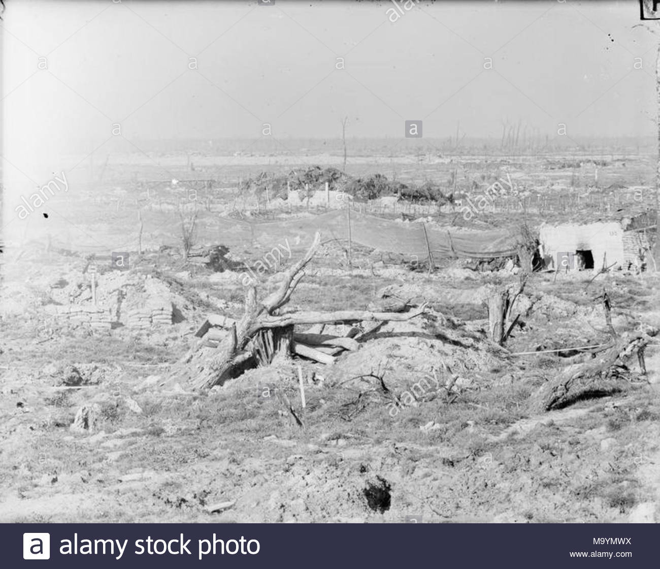 Ypres Salient Black and White Stock Photos & Images - Alamy